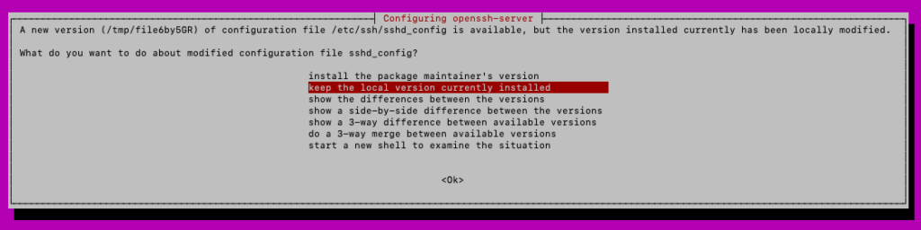 Ubuntu 20.04 LTS Support (In-Place Upgrade from 18.04 guide) - InterWorks